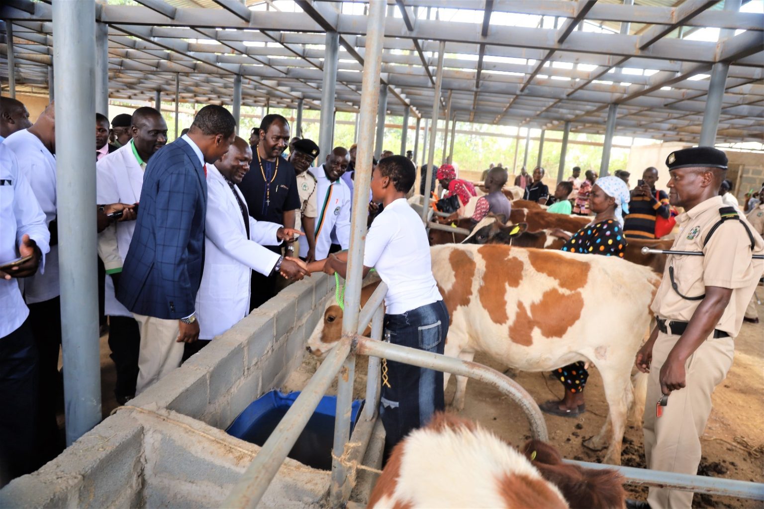 Malulu Injendi Foundation - Malulu Injendi Foundation